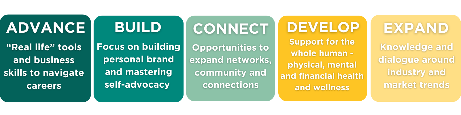 Luminary: Empowering Women and Allies Through Professional Networking